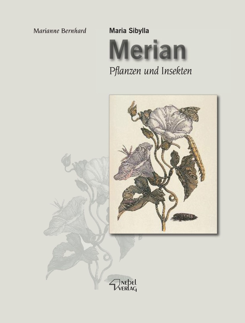 Bildband Merian – Pflanzen und Insekten | alfgrafik.design für print & web